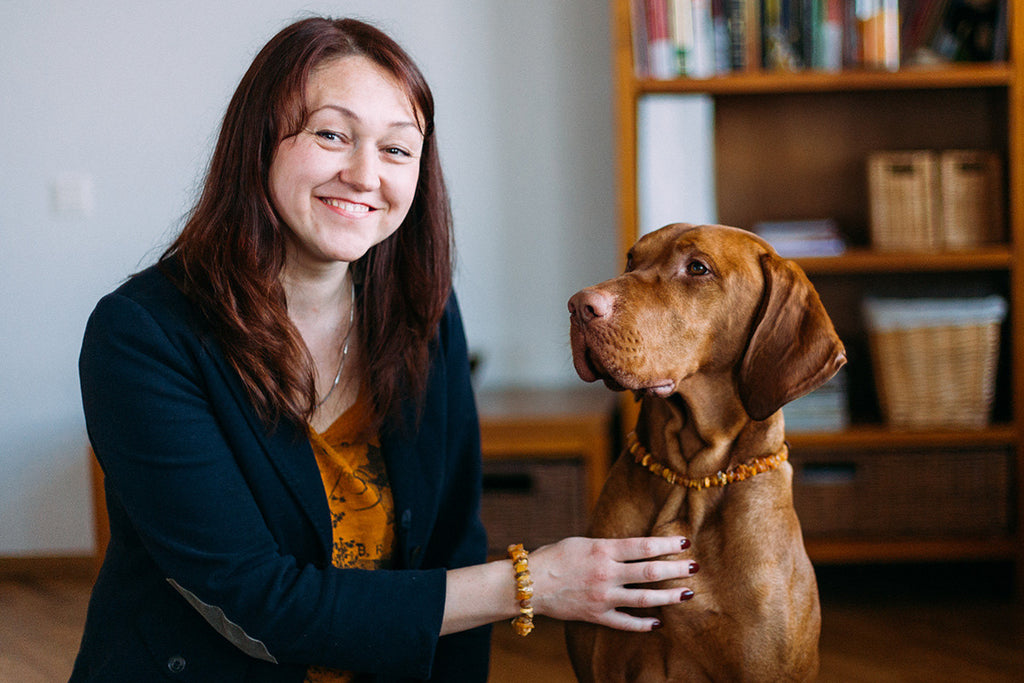 Natural Baltic Amber Tick & Flea Collar for Dogs – AmberCrown